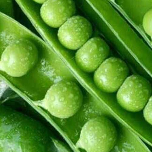 NaturallyGood - Premium Organic Vegetables Delivered Fresh | Farm to Table
